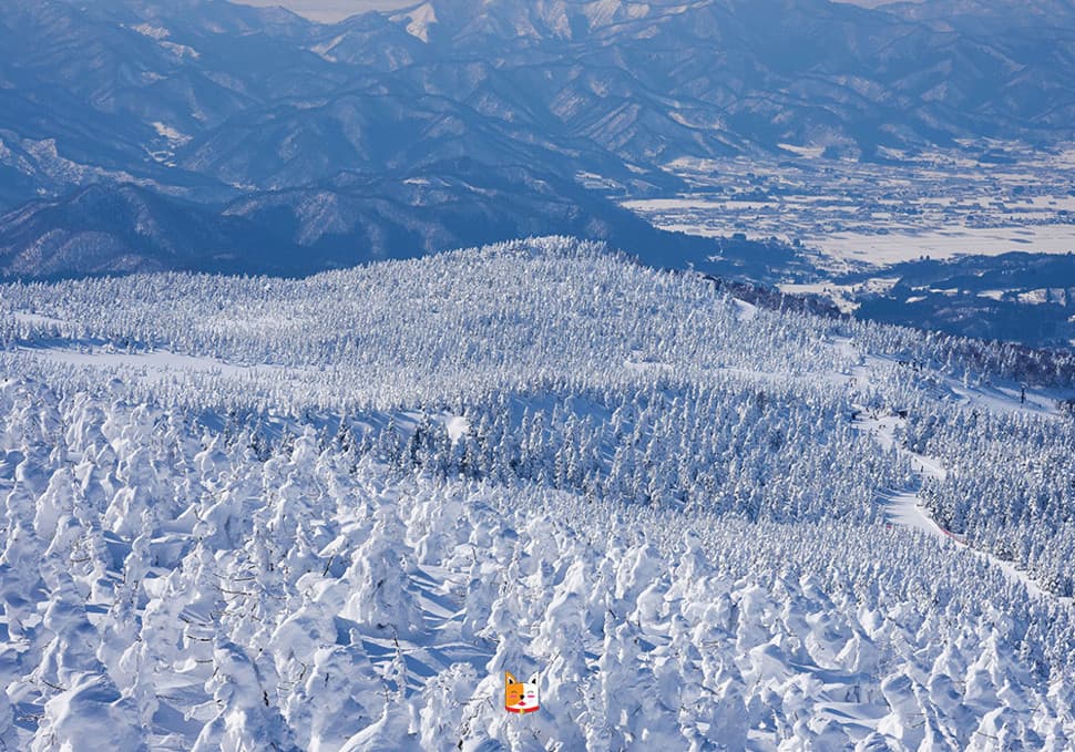 ภูเขาซาโอะ Mount Zao ตื่นตากับปีศาจหิมะ ความมหัศจรรย์ฤดูหนาวญี่ปุ่น